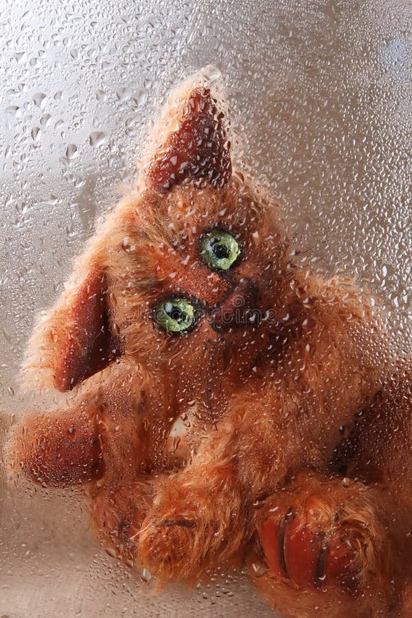 Cute Soft Toy Cat Looking through Rainy Window Stock Photo - Image of ...