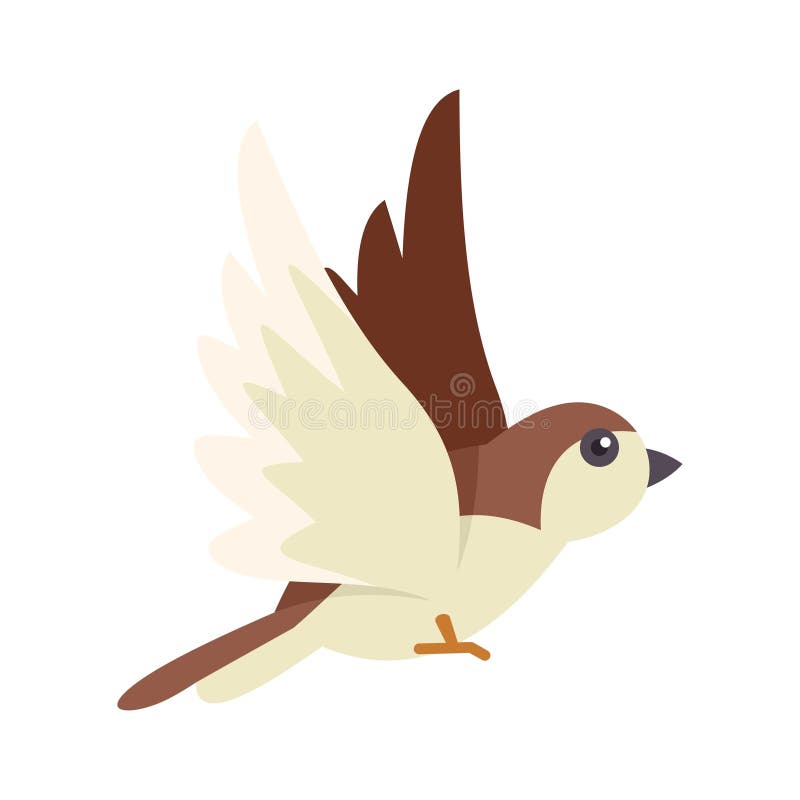 Cute Sparrow Bird Flying with Spread Wings Stock Vector - Illustration ...