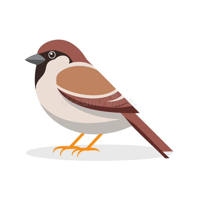 Cute Sparrow Vector Character, Bird Character for Decor and Icon Stock ...