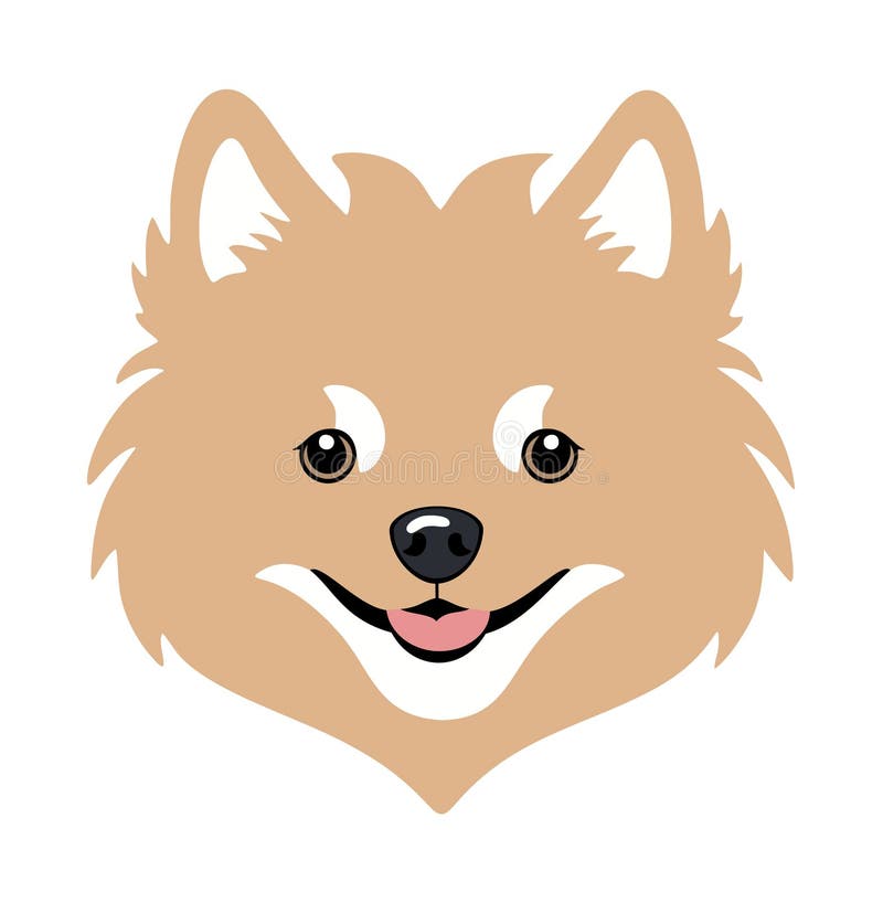Cute Spitz Dog. Vector Isolated Illustration Stock Illustration ...