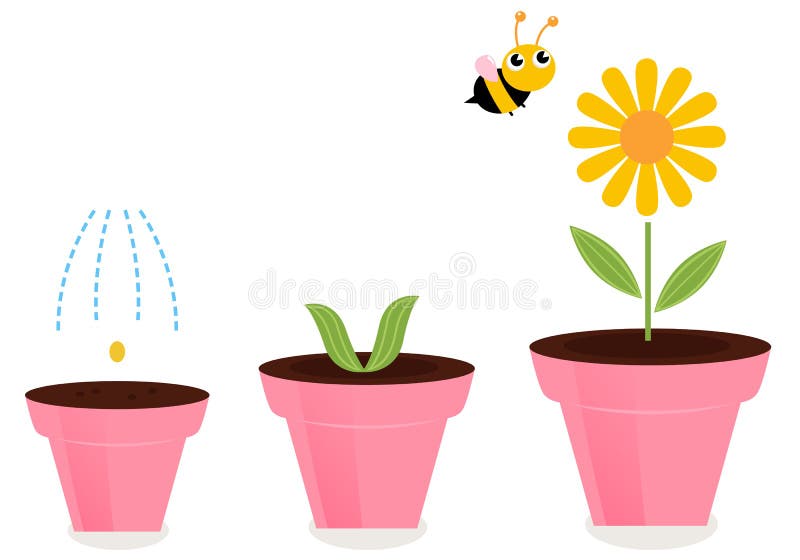 Flower Growing Clipart