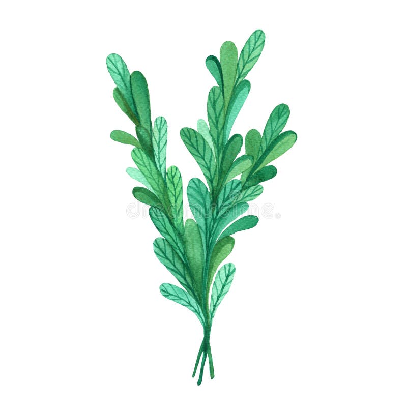 Cute Spring Leaf Watercolor Decorative Illustration Stock Illustration ...