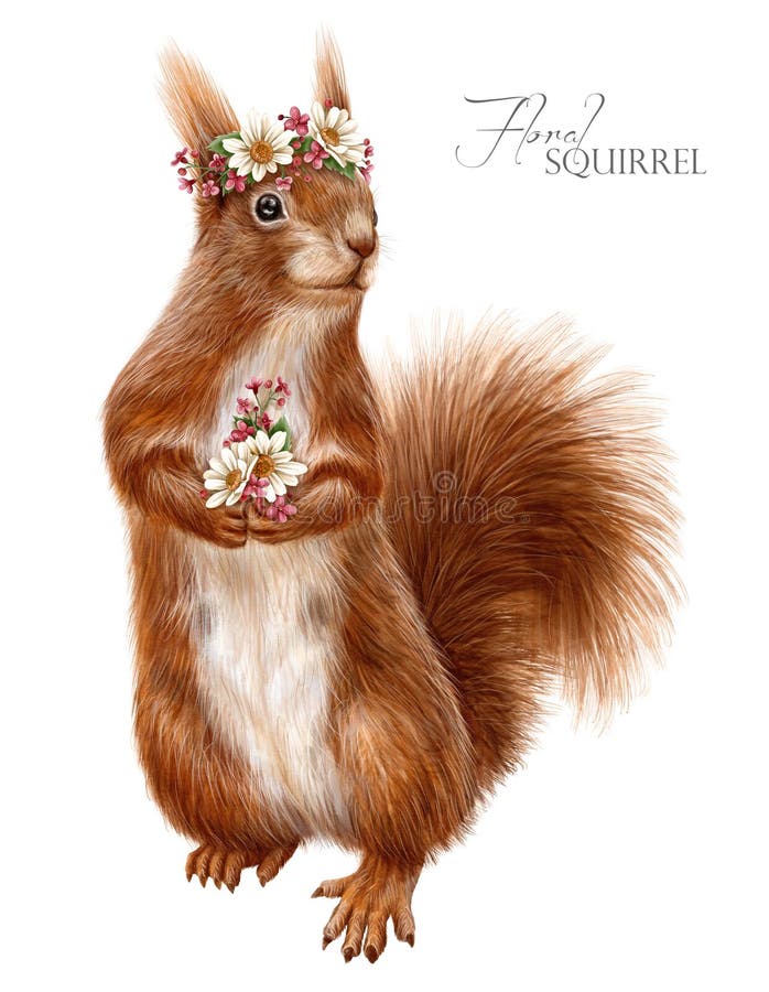 Cute Squirrel Illustration. Floral Crown Stock Illustration ...