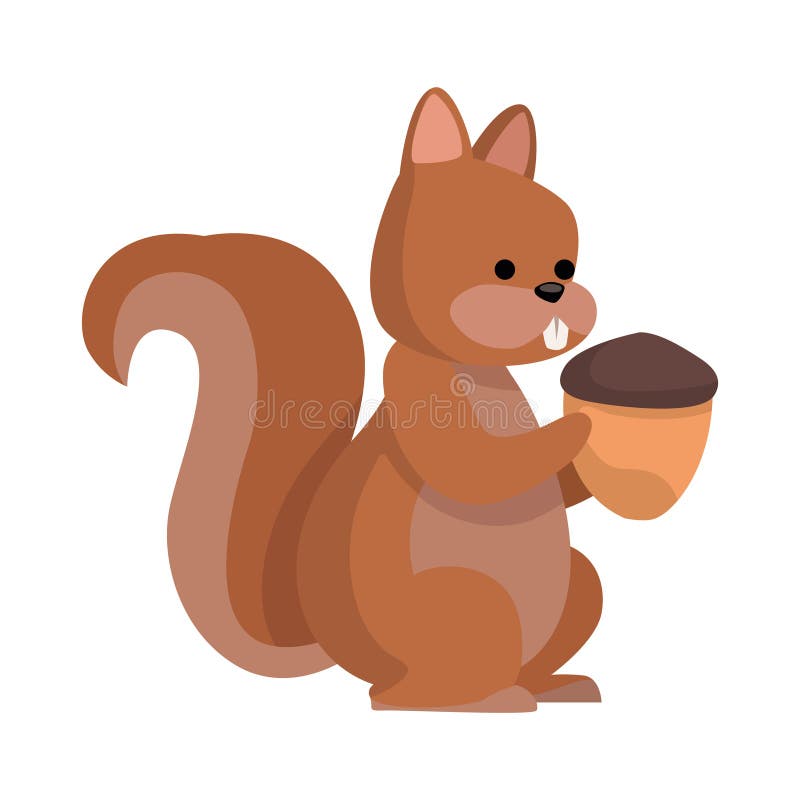 Cute squirrel with nut stock vector. Illustration of character - 274032070