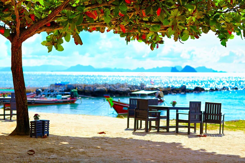 Cute Summer Cafe Under the Tree Shadow, Tropical Seaside Stock Photo ...