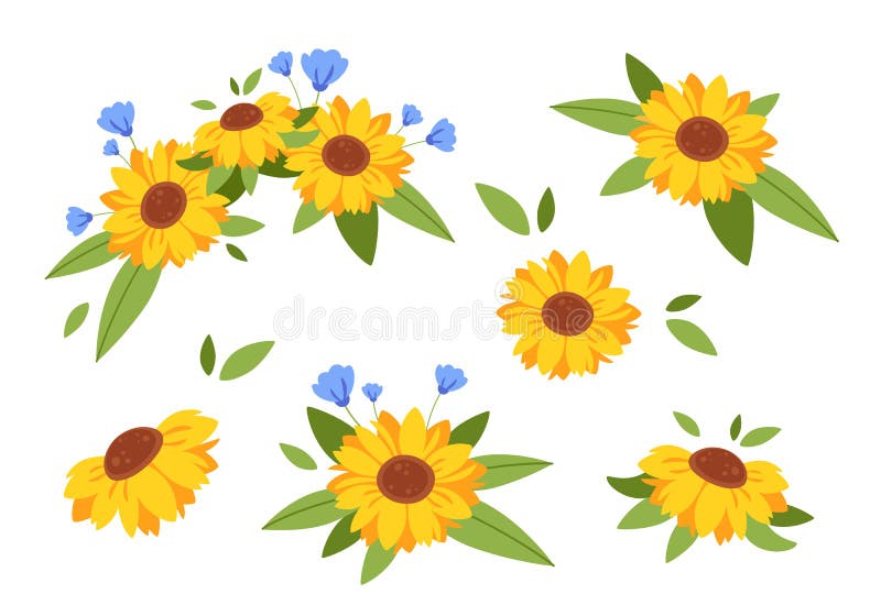 Cute Sunflowers Bouquet Flower Wreath Sunflowers Collection Vector