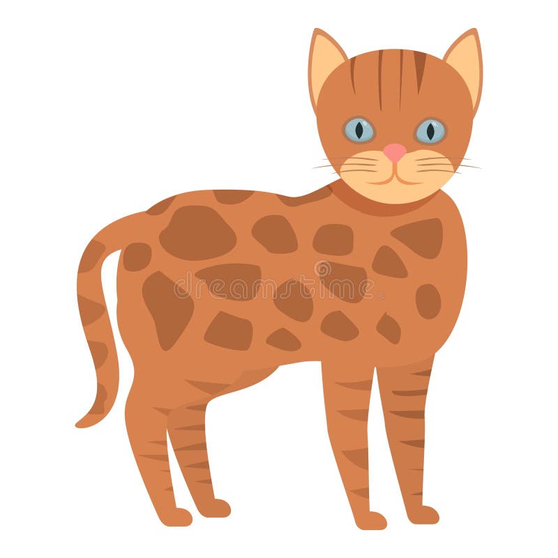 Cute Tabby Cat Standing and Looking Forward with Blue Eyes Stock Vector ...