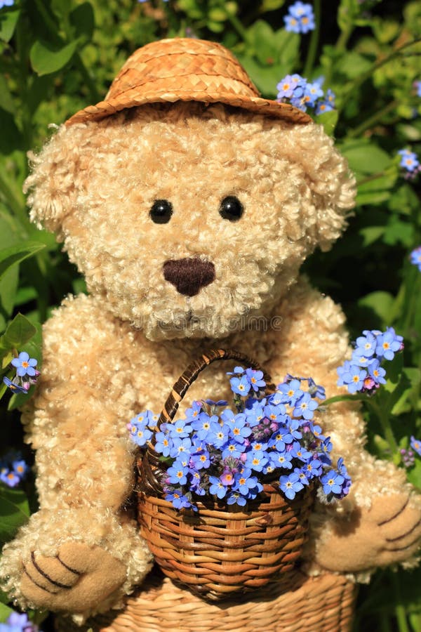 Cute teddy stock image. Image of cheerful, sitting, little - 24532021