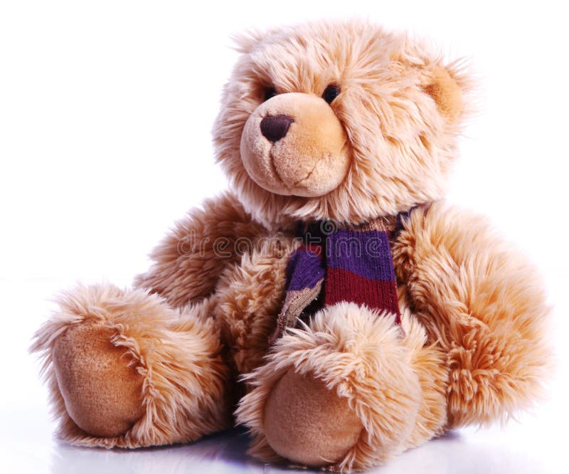 Cute Teddy Bear stock photo. Image of plaything, childhood - 21213286