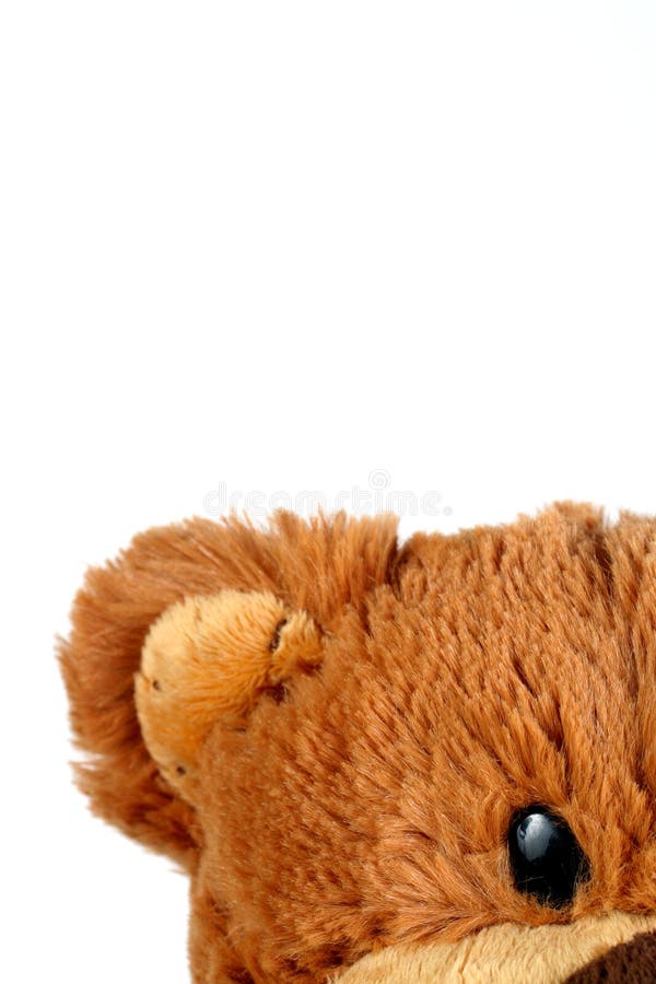 Cute Teddy Bear Picture. Image: 8508192