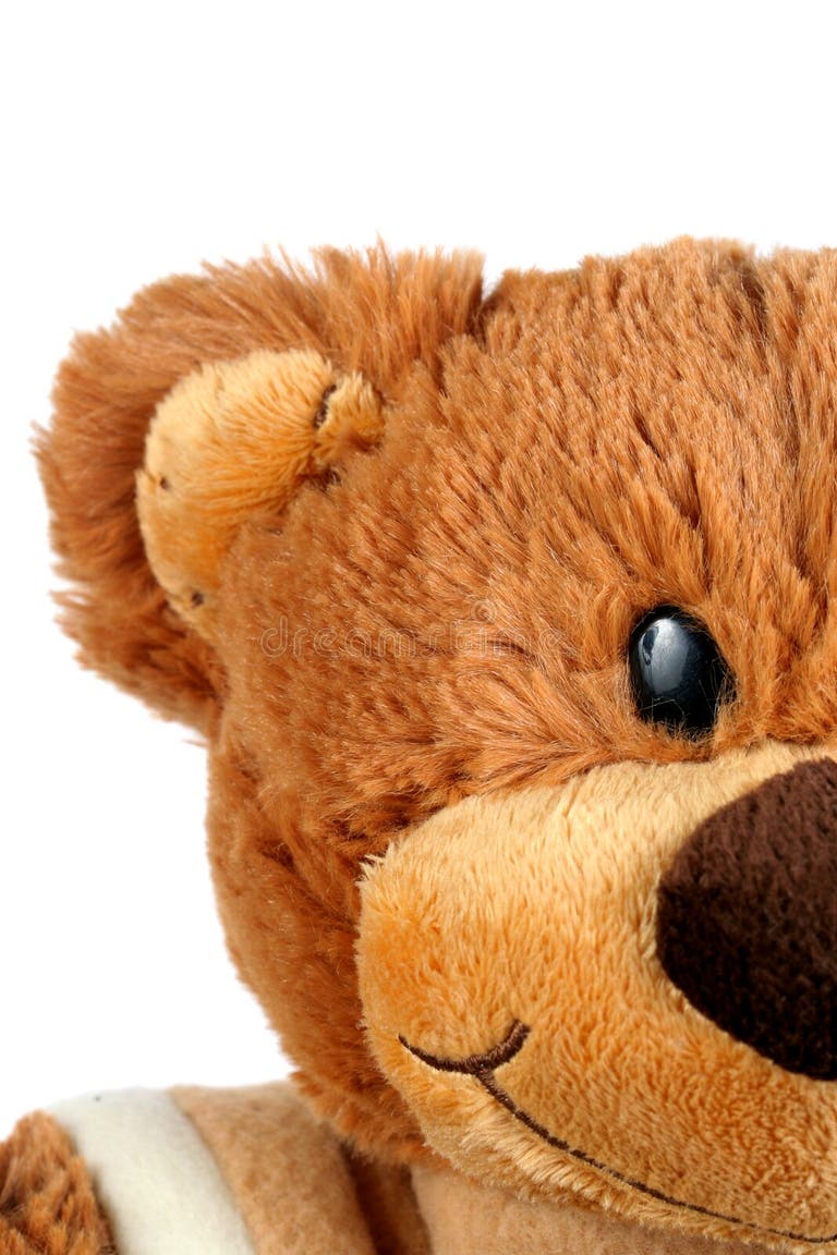 83,252 Cute Teddy Bear Stock Photos - Free & Royalty-Free Stock Photos ...