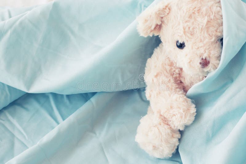 Cute teddy bear stock photo. Image of carnivore, chill - 270231800