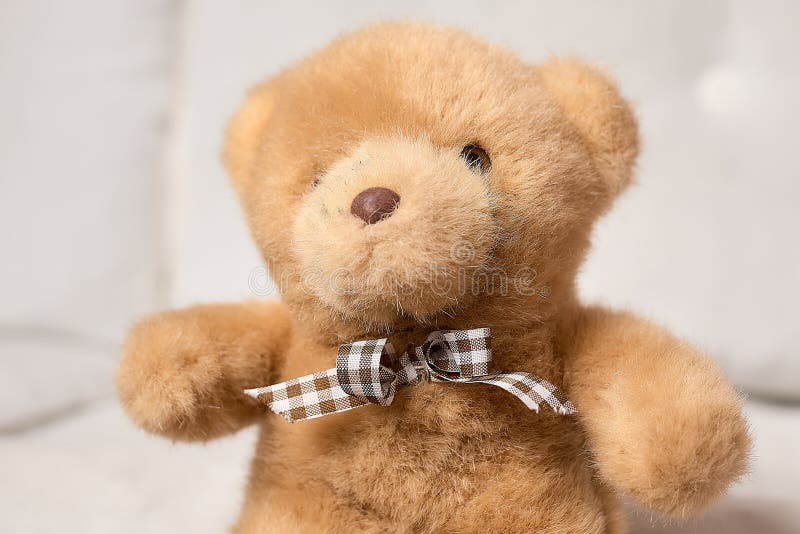 Cute Teddy Bear Soft Plush Toy in a Room Stock Photo - Image of face ...