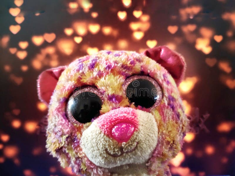 Cute Teddy pic stock photo. Image of cute, lovely, teddy - 183450710