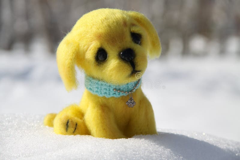 Knited Doggy Stock Photos - Free & Royalty-Free Stock Photos from ...