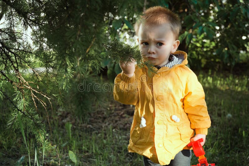 Cute Toddler Boy Making Faces Touching Tree Branch. Kid Walking ...