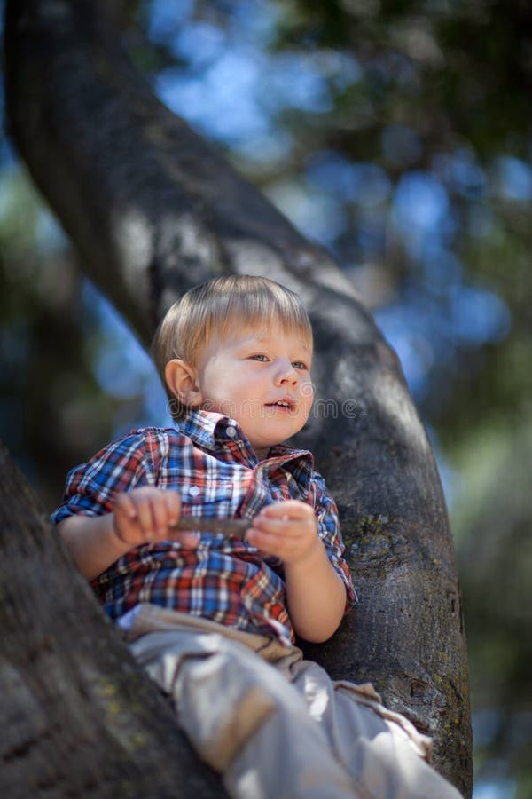 Cute Toddler Boy Sitting on a Tree Stock Image - Image of outdoors ...