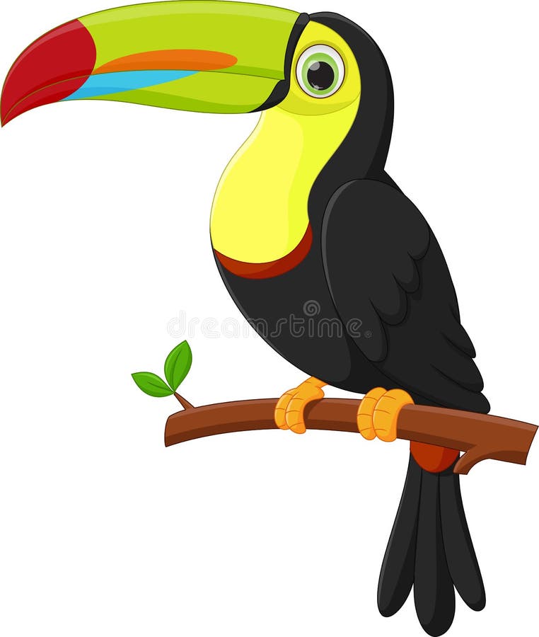 Cute toucan bird cartoon stock vector. Illustration of animated - 73345110