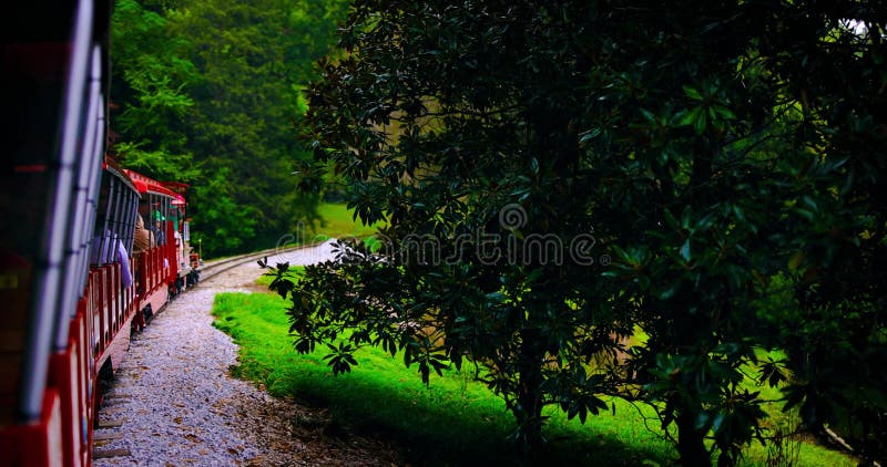 Cute Tourist Train Moving Along the Summer Park Stock Footage - Video ...