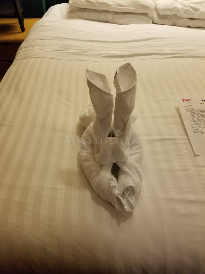 Cute towel rabbit stock image. Image of goals, vacation - 98053541