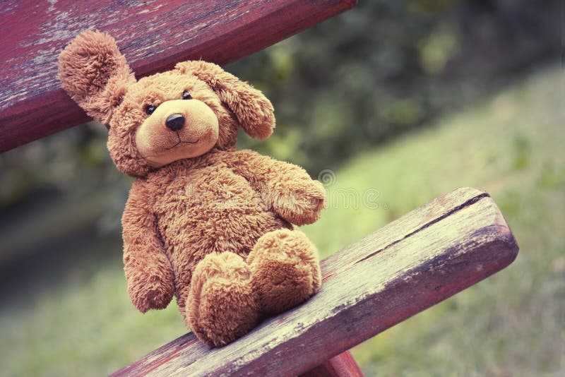 Cute toy bear stock image. Image of look, small, emotion - 58704979