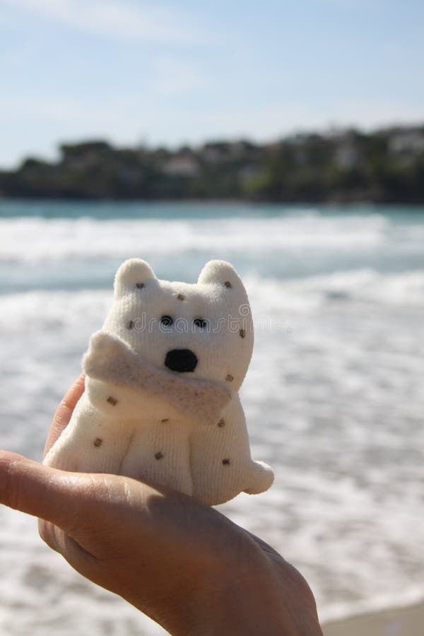 White bear on the beach stock photo. Image of childhood - 237830674