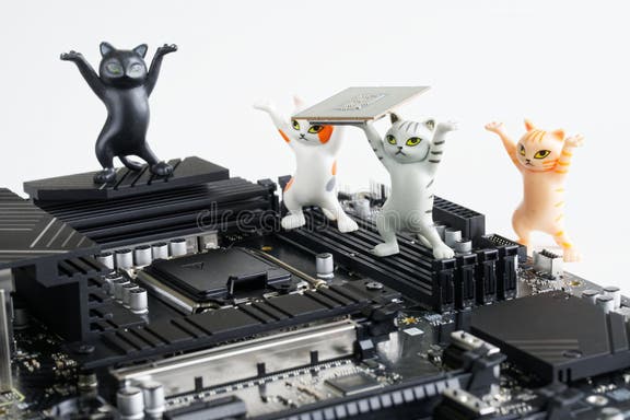 Cute Toy Kittens Mount a Computer Processor into a Socket on the ...