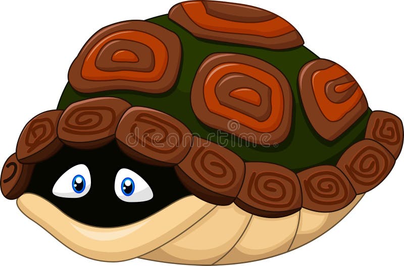 Cartoon Turtle Hides Its Shell Stock Illustrations – 4 Cartoon Turtle ...