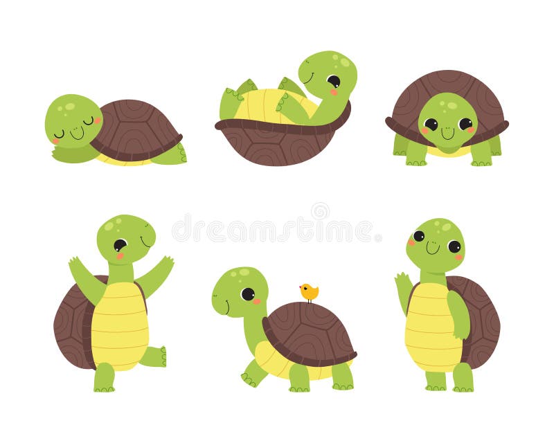 Cute Turtle with Shell and Short Feet Engaged in Different Activity ...