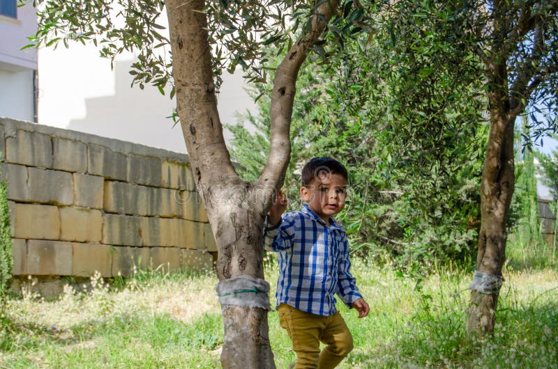 Cute Two Years Old Boy Hiding Behind the Tree in the Park Stock Image ...