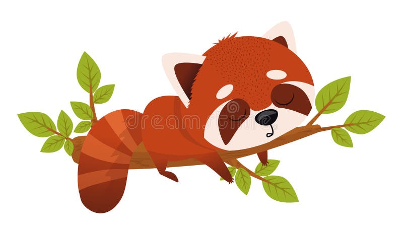 Cute Vector Illustration of Red Panda Sleeping on Branch. Flat Cartoon ...