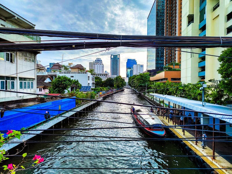 Cute Cat View from Top View on a White Background Stock Photo - Image ...