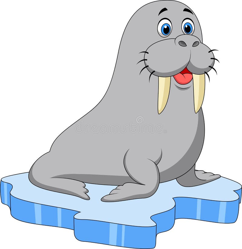 Smiling Walrus