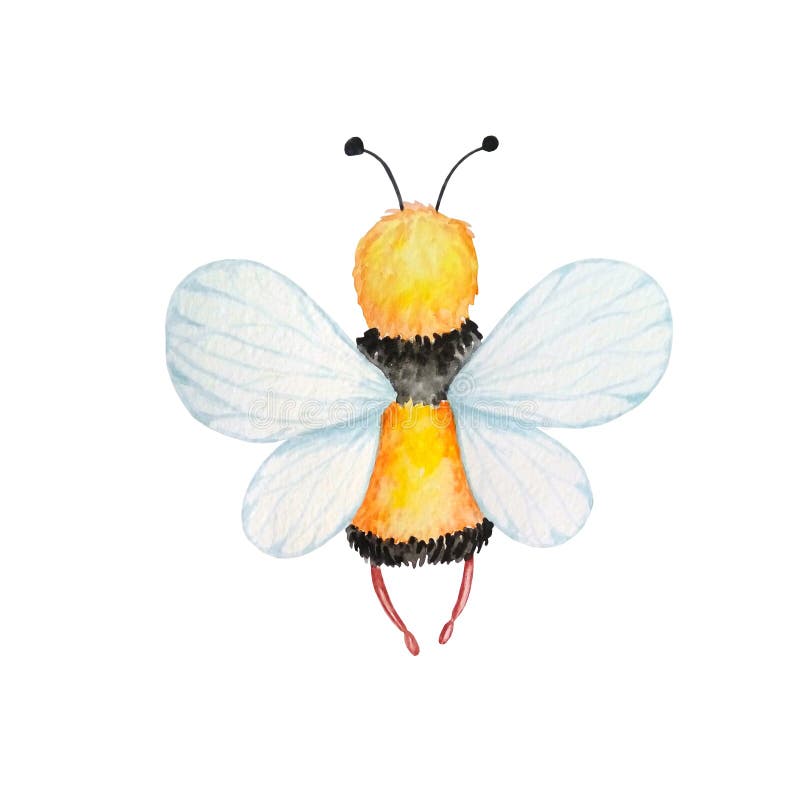Cute watercolor bee stock illustration. Illustration of color - 181473423