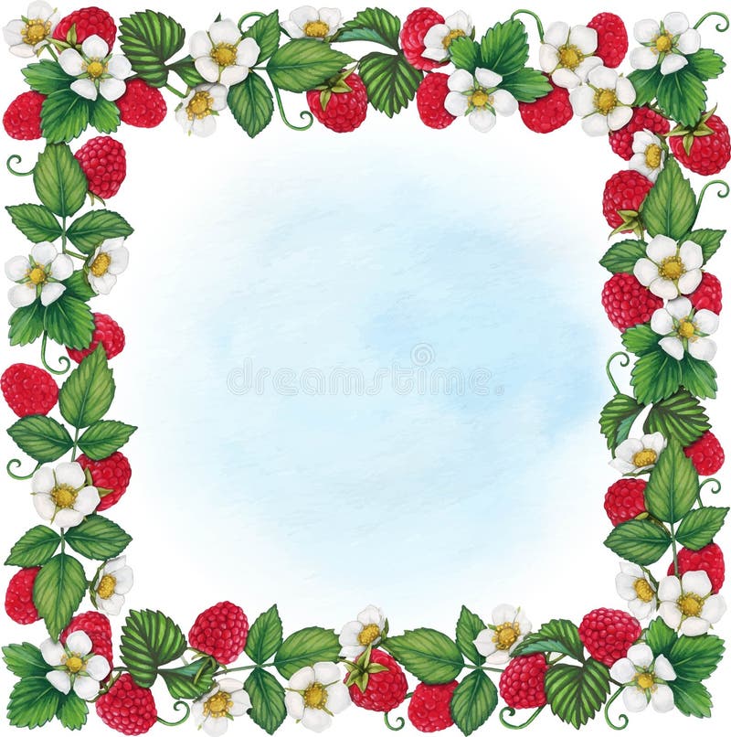 Cute Watercolor Ha Nd Drawn Raspberry Frame Stock Vector - Illustration ...