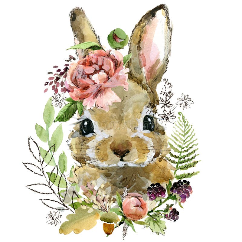 54+ Rabbit forest cartoon Free Stock Photos - StockFreeImages 54+ Rabbit forest cartoon Free Stock Photos - StockFreeImages