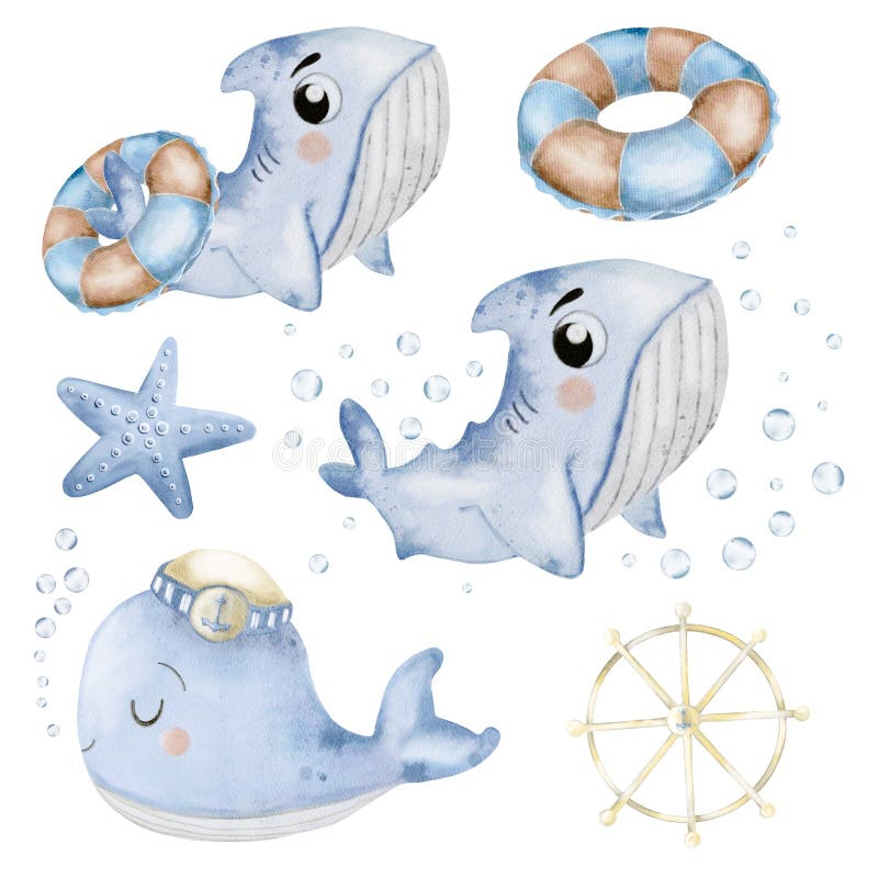 Cute Watercolor Shark Design with Nautical Elements Suitable for ...