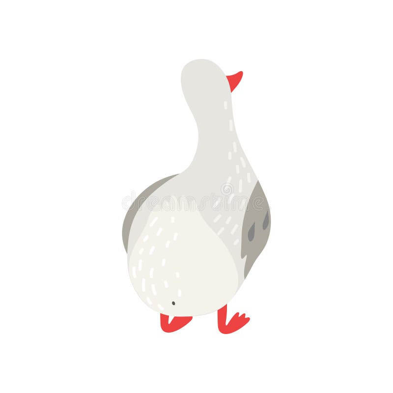 Cute White Goose Cartoon Character Back View Vector Illustration Stock ...