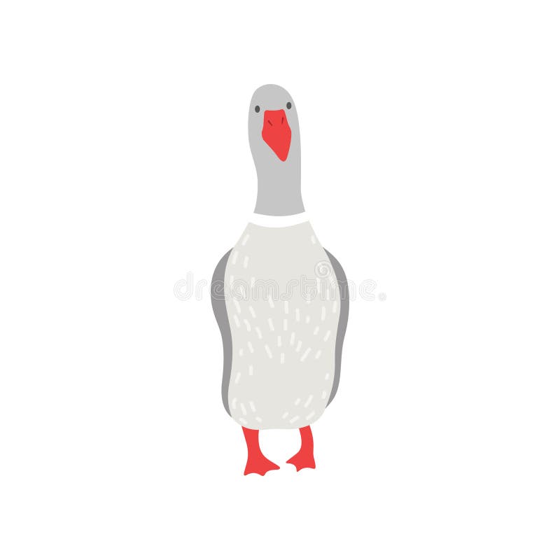 Cute White Hare, Lovely Animal Cartoon Character Front View Vector ...