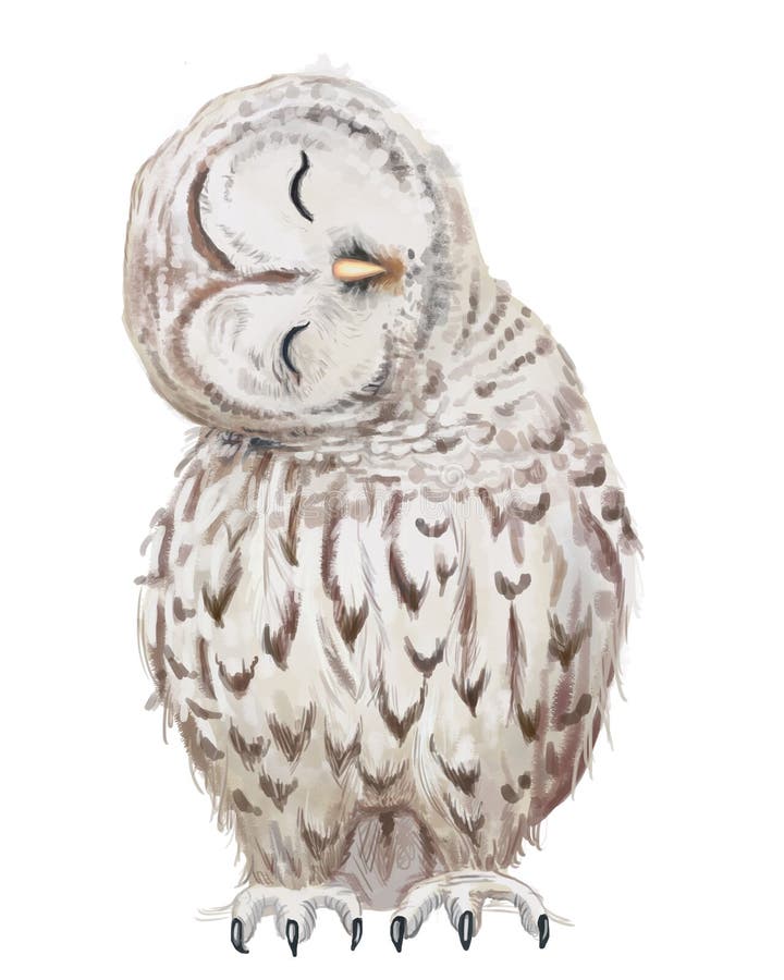 Cute white tiger cub stock vector. Illustration of feline - 12705522