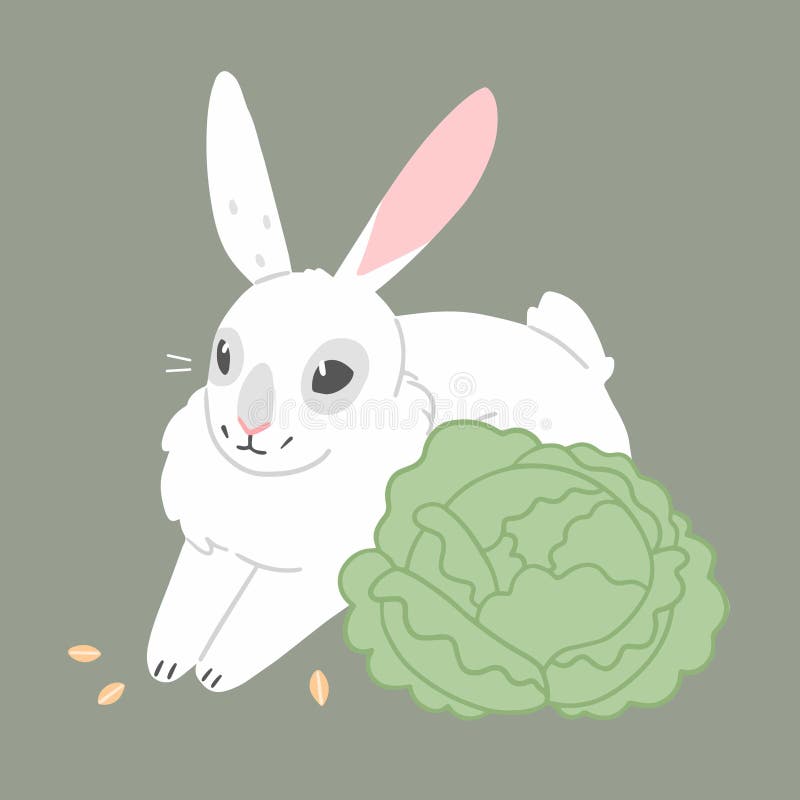 Rabbit Eating Cabbage Stock Illustrations – 31 Rabbit Eating Cabbage ...
