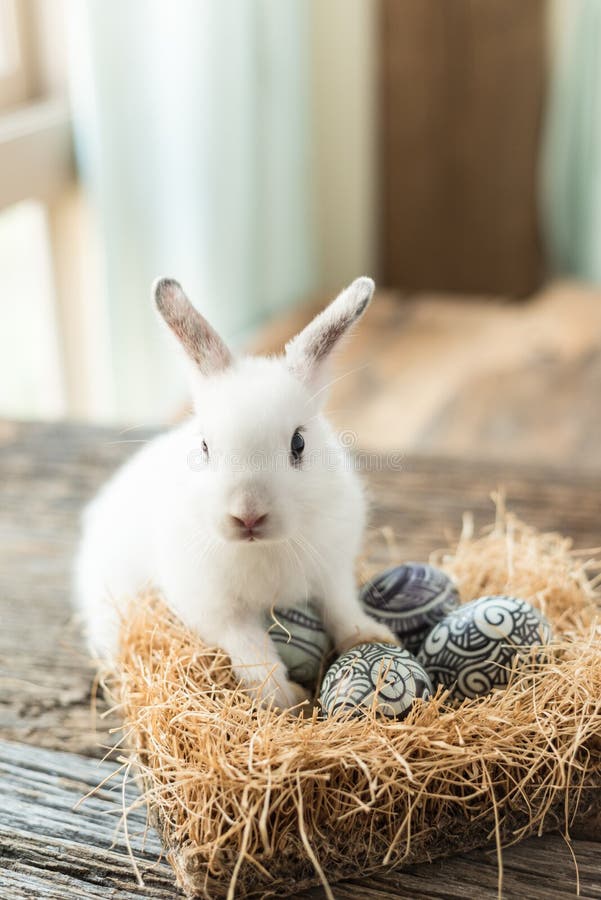 Cute White Rabbit with Easter Egg Stock Image - Image of little, eggs ...