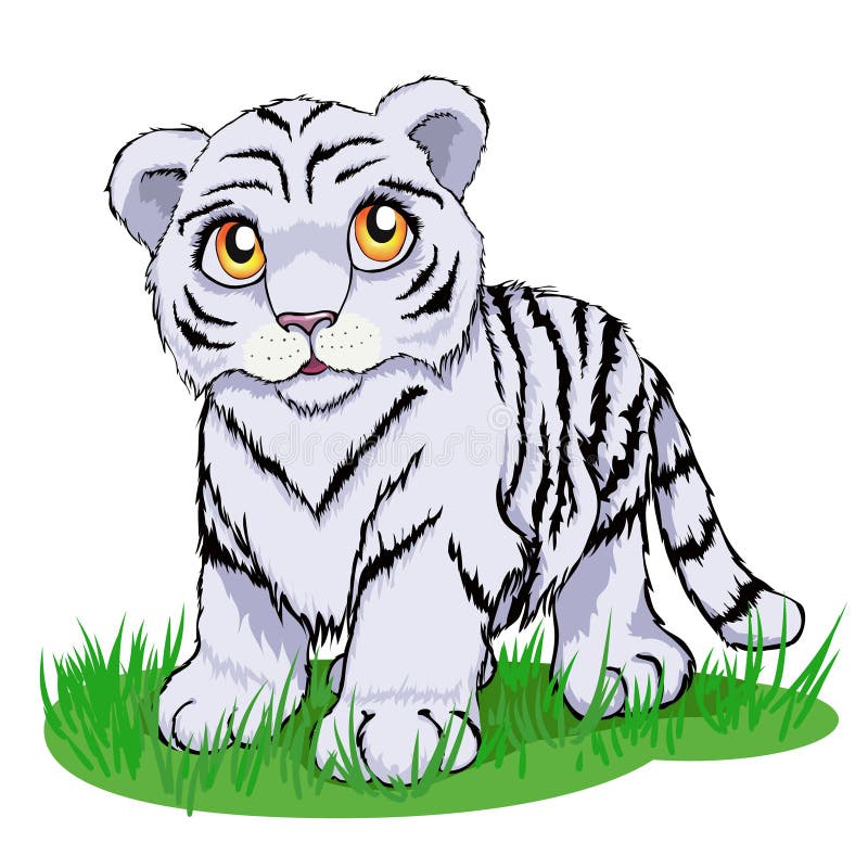 Cute white tiger cub stock vector. Illustration of black - 12705522