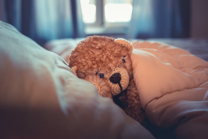 Cute Wool Teddy Bear is Lying in the Bed Stock Photo - Image of charity ... Cute Wool Teddy Bear is Lying in the Bed Stock Photo - Image of charity ...