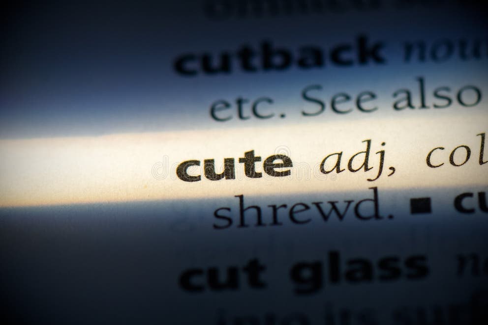 Cute stock image. Image of text, dictionary, closeup - 161578397