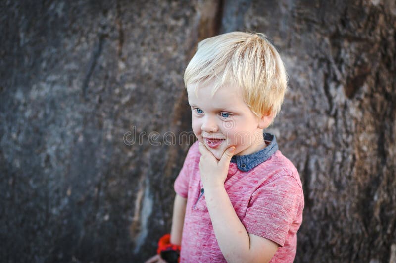 Cute 4 Year Old Boy Standing in Front of Large Gum Tree Making Cheeky ...