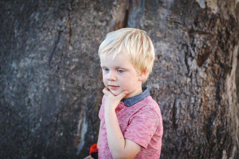 Cute 4 Year Old Boy Standing in Front of Large Gum Tree Making Cheeky ...