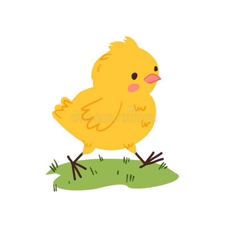 Cute Yellow Chick Walking on Grass Stock Vector - Illustration of ...