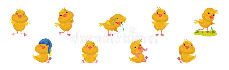 Cute Yellow Chicken Engaged in Different Activity Vector Set Stock ...