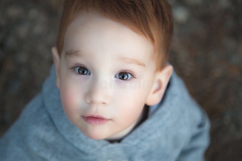 Cute young boy looking up stock photo. Image of eyes - 81745684